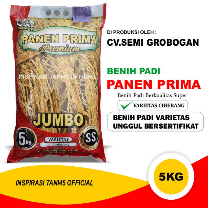 Benih Padi PANEN PRIMA Premium 5kg/Benih Padi CIHERANG PANEN PRIMA ...