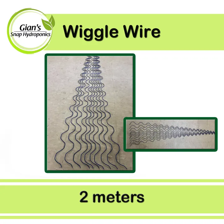 Wiggle Wire only (10pcs) | Lazada PH
