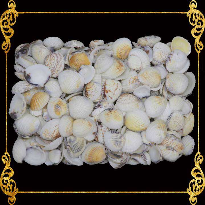 500 Grams | Halaan | Tumid Venus | Lazada PH