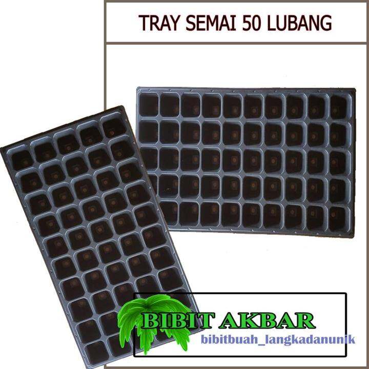 Tray Semai 50 Lubang | Lazada Indonesia