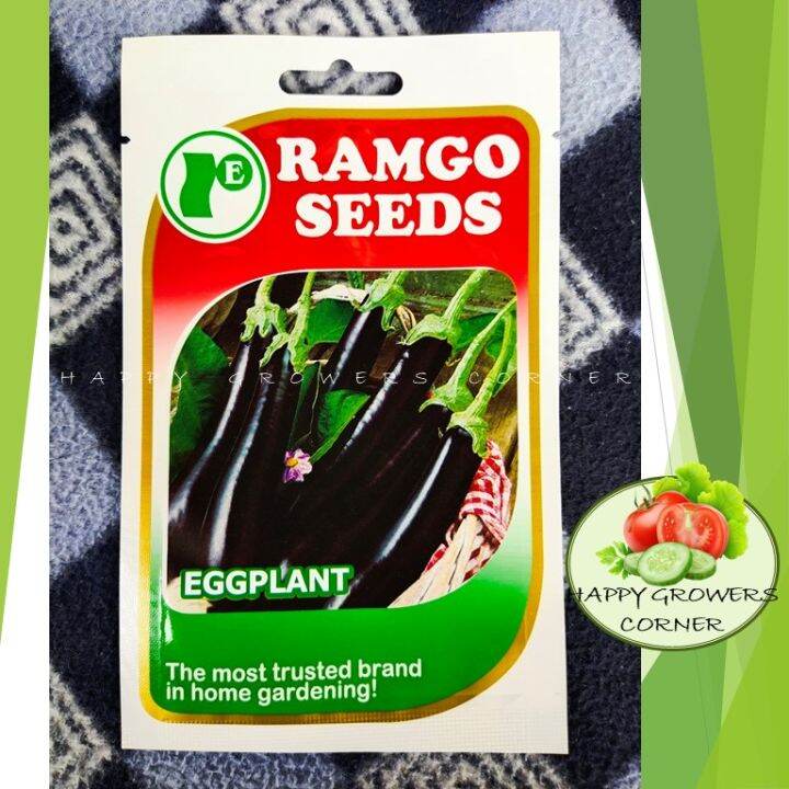 EGGPLANT LONG PURPLE (1 GRAM) RAMGO SEEDS | Lazada PH