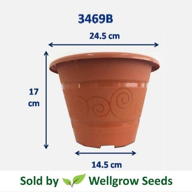 Baba Plastic Plant Pot 3469B (5 pcs) | Lazada