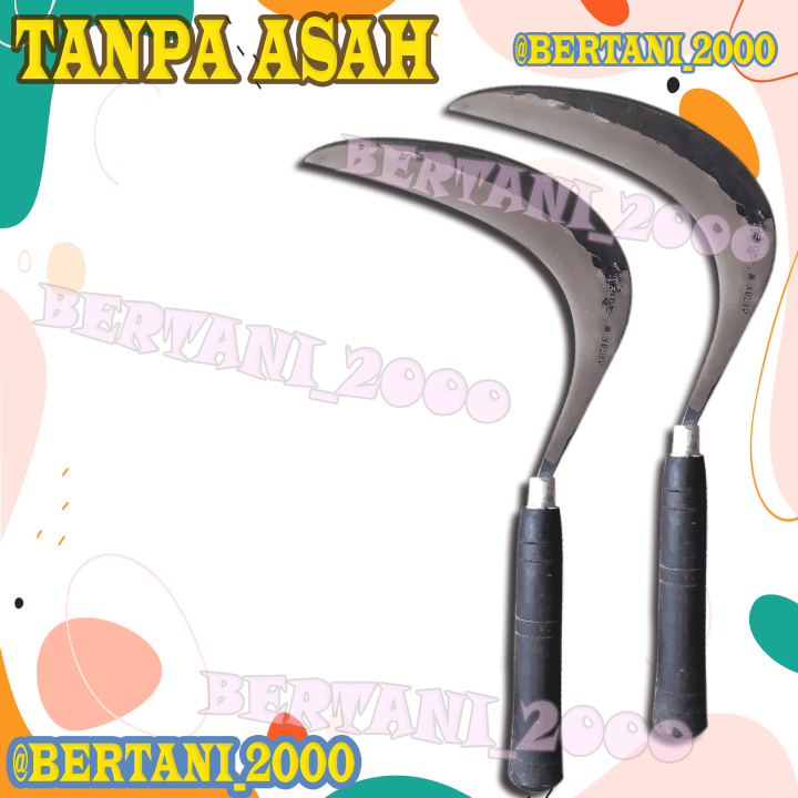 SABIT RUMPUT / ARIT RUMPUT ( TANPA ASAH ) | Lazada Indonesia