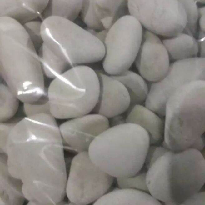 batu koral putih/batu taman/batu koral putih 1kg | Lazada Indonesia