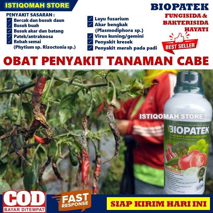 BIOPATEK 500ML Fungisida dan Bakterisida Hayati Obat Penyakit Bercak ...