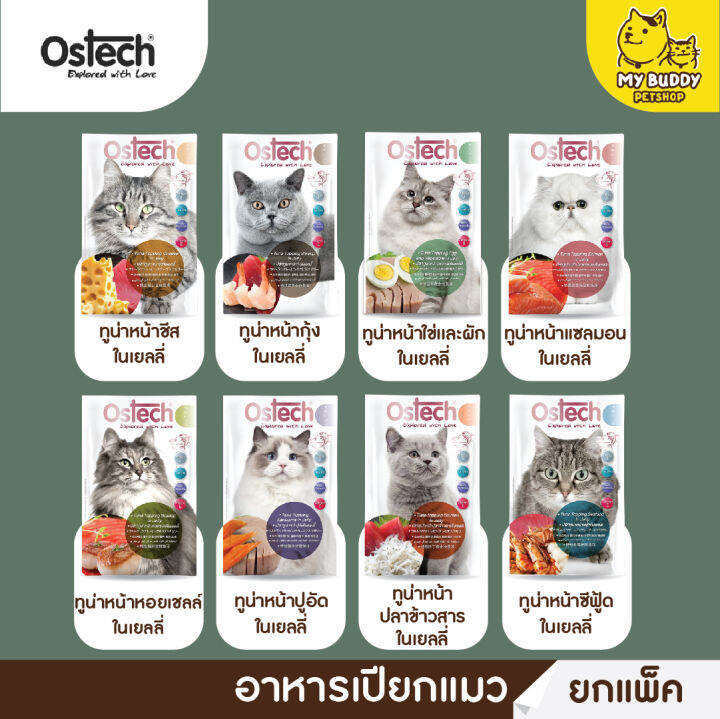 ยกโหล Ostech อาหารเปียกแมวแบบ แพ็ค 12 ซอง 8 รชชาต ขนาด 70g | Lazada.co.th