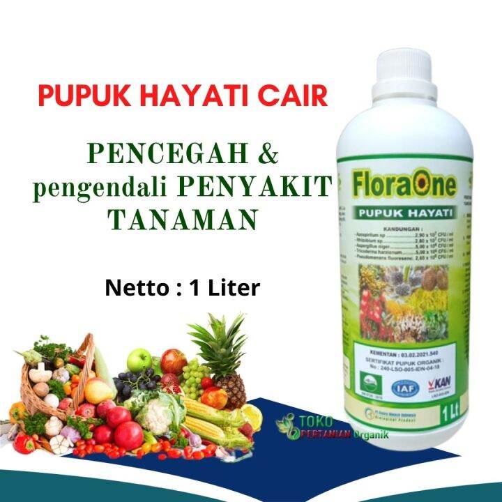 Pupuk Hayati Cair anti layu Cabai, FUNGISIDA Tricoderma Rhizobium sp ...