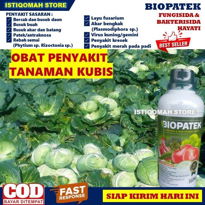 BIOPATEK 500ML Fungisida dan Bakterisida Hayati Obat Penyakit Bercak ...