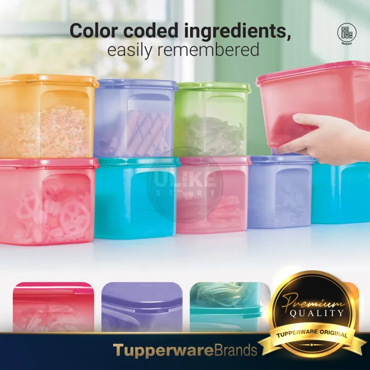 Tupperware Modular Mates Mini Rectangular II (2 units) / Food Storage ...