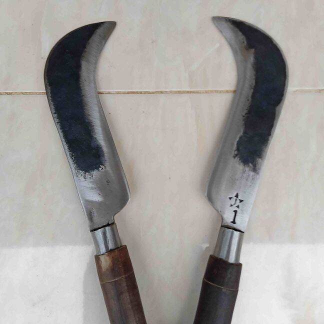 Calok Madura / alat belah kelapa muda/ belah bambu | Lazada Indonesia