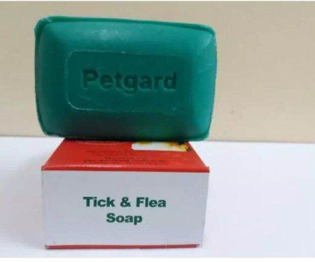 PETGARD SOAP 90 grams | Lazada PH