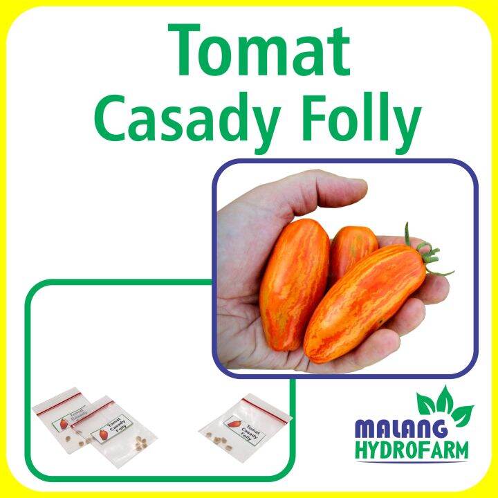 Benih Tomat Casady Folly Unggulan Berkualitas biji bibit repack sayuran ...