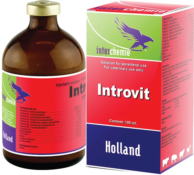 [FCR AGRIVET] 1 bottle Introvit Multivitamins 100ml / Gamefowl Cattle ...