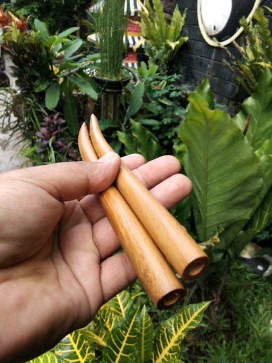 COD Pipa rokok kayu galih kelor emas 12 cm asli- Pipa rokok kayu unik ...