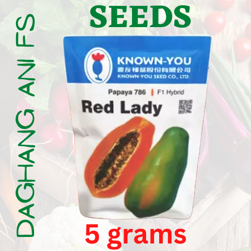 RED LADY PAPAYA SEEDS 5grams (360++ seeds) | Lazada PH
