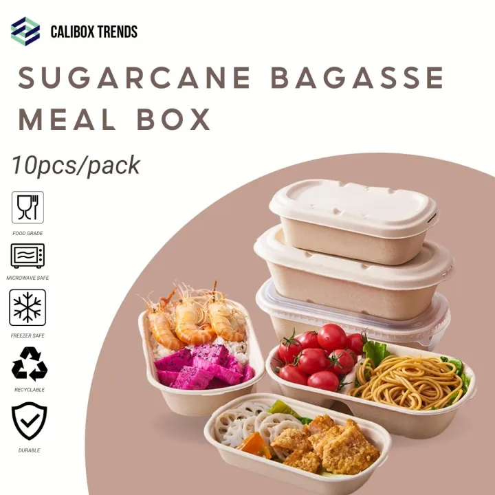 Calibox Trends Oval Sugarcane Bagasse Box Biodegradable Eco-Friendly ...