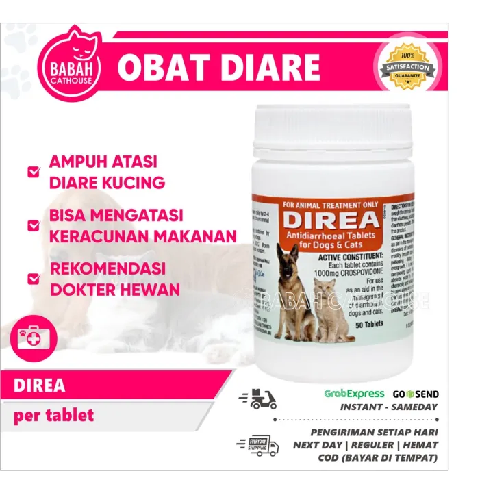 DIREA Obat Diare Kucing Anjing Untuk Sakit Keracunan Mencret Anak Anti ...