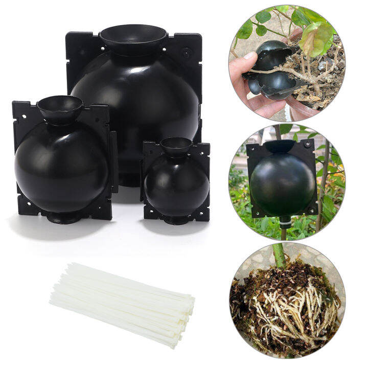 Plant Rooting Ball with Fixed Tie Band Grafting Root Growing Box ...