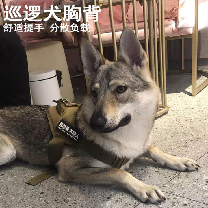 Dog Tactical Chest Strap K9 Vest Traction Rope Large Dog Demu Golden ...