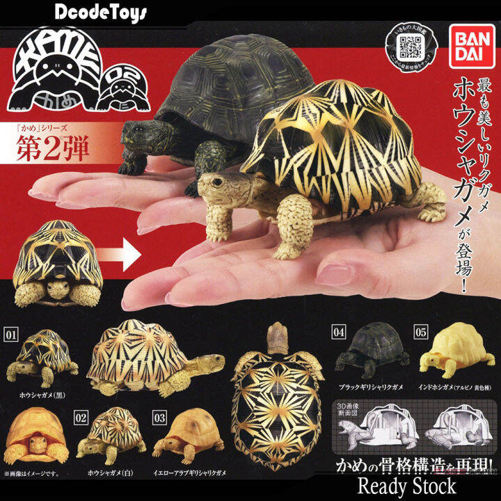 Bandai Gashapon Tortoise 02 Turtle Turtles Wanigame Alligator Snapping ...