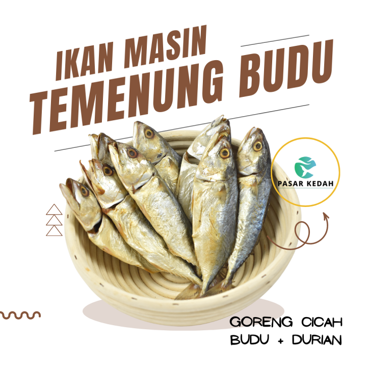 Ikan Temenung Masam Budu Tanjung Dawai | Pickled Salted Mackerel Fish ...