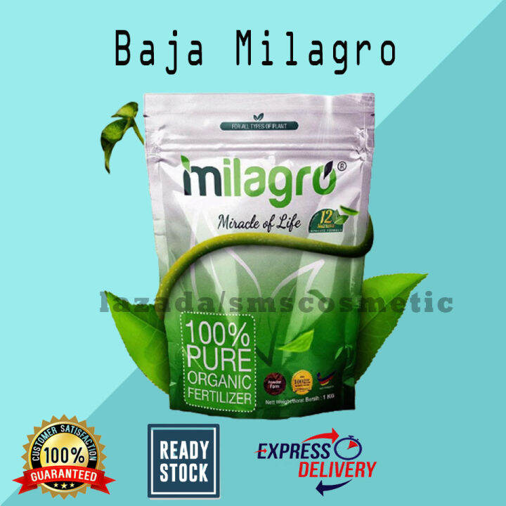 Baja Organik Milagro / Baja Maligro | Lazada