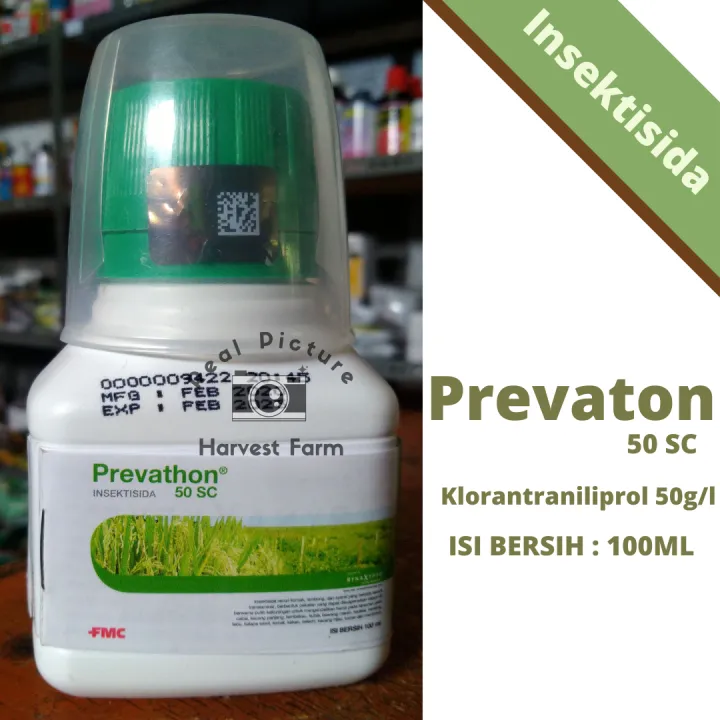 Insektisida Prevaton 50SC 100ML Pembasmi Ulat Batang / SUNDEP/ Beluk ...