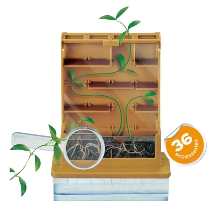 Grow A Maze DIY Plant Box for Kids (STEM KIT) | Lazada PH