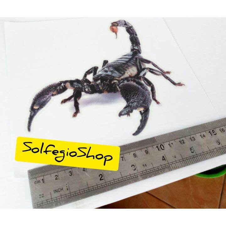 Stiker model Kalajengking Sticker spider model 3D untuk mobil motor ...