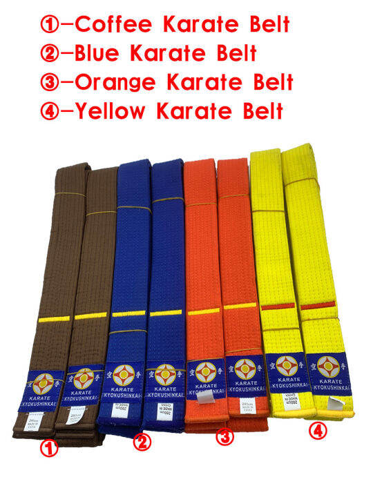 MingQian Martial Arts MMA Protective International Karate Federation ...