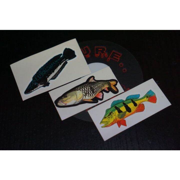 Stiker Toman , Sebarau , Peacoak Bass Waterproof / Stickers Ikan ...