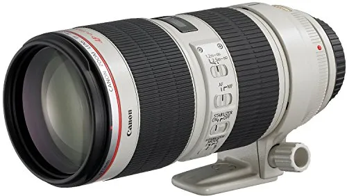 Canon Telephone Zoom Lens EF70-200mm F2.8L II USM Full Size Compatible ...