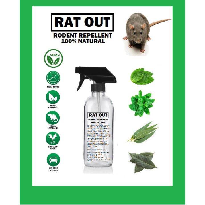 Rat Out Natural Rat Rodent Repellent spray 100 natural non toxic ...