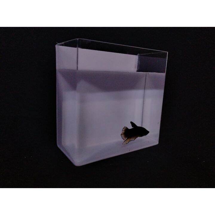 SOLITER / SOLITER AKRILIK / AQUARIUM AKRILIK / AKUARIUM MINI / KANDANG ...