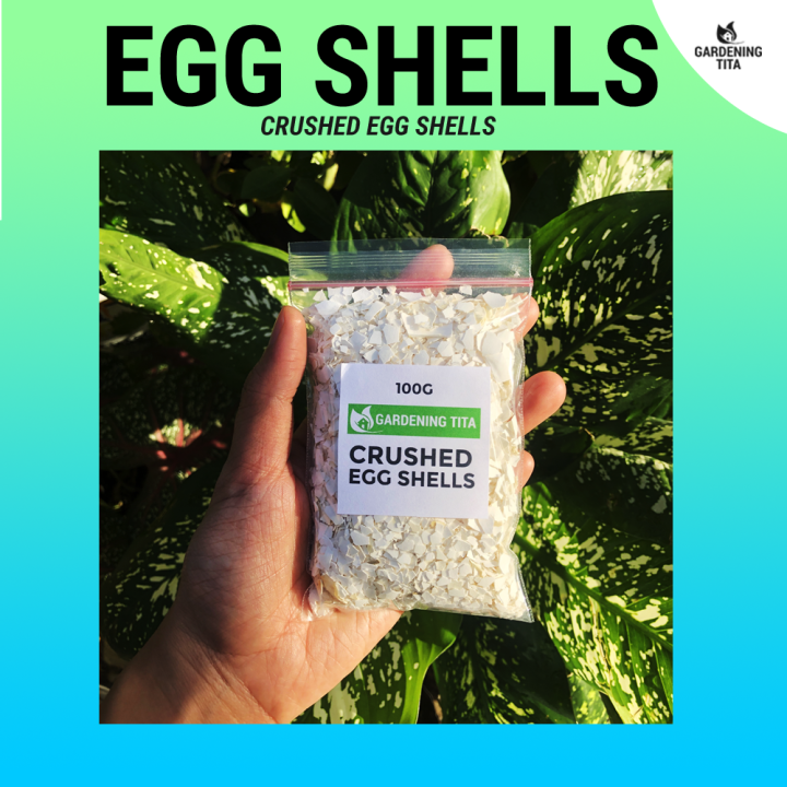 (100g) Crushed Eggshells - For gardening / agricultural use | Lazada PH