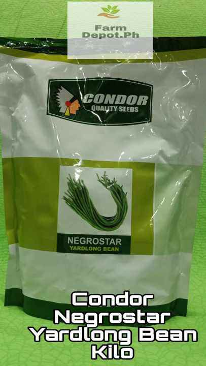Negrostar YardLong Bean / Sitaw Seeds kilo by Condor | Lazada PH