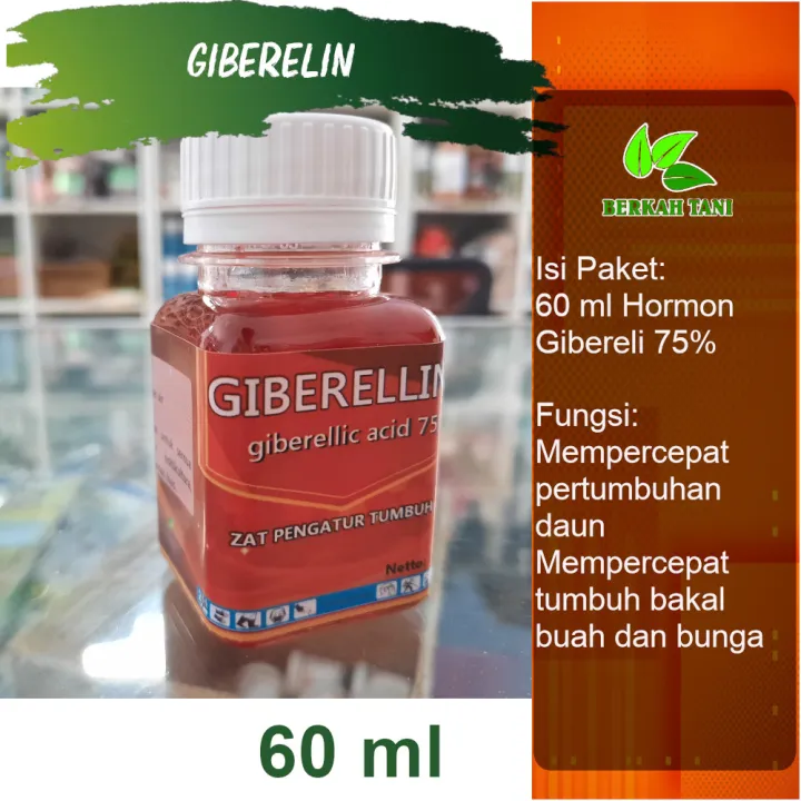 Neo Giberelin Giberellin GA3 Hormon Pertumbuhan Dan Pengisian Buah ...