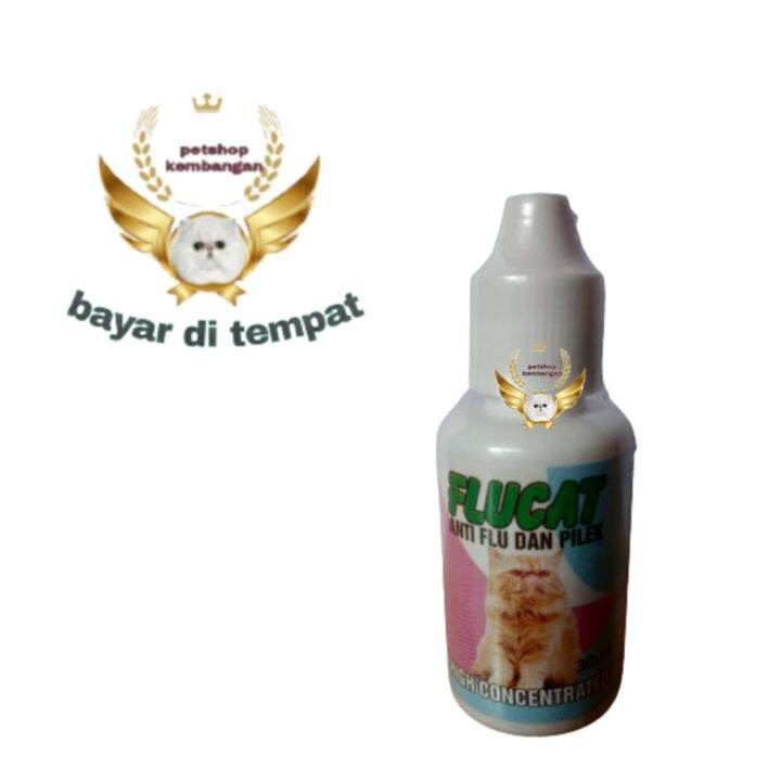 flucat obat flu kucing mengubati pilek dan anti iritasi hidung dan ...