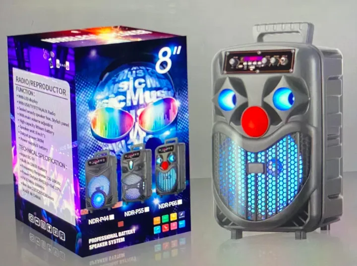 NDR-P66 8 inches Karaoke Wireless Bluetooth Speaker With FREE MIC | Lazada PH