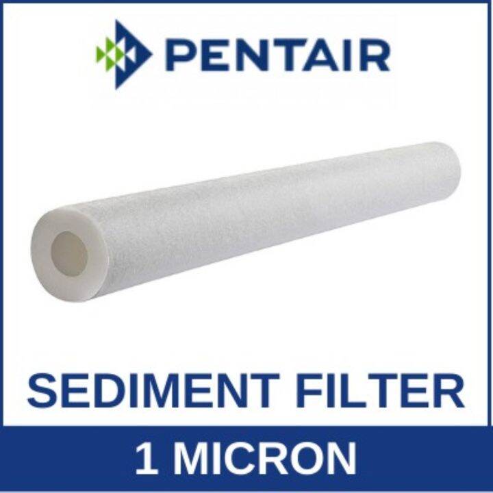 Pentair Sediment Filter Cartridge Slim 20 Inch 1 or 5 Micron for Water ...