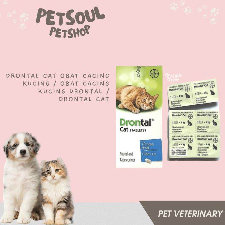 Drontal Cat Obat Cacing Kucing / Obat Cacing Kucing Drontal / Drontal ...
