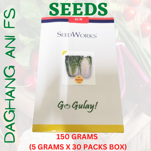SEEDWORKS F1 MAJESTY HYBRID CHINESE CABBAGE PECHAY BAGUIO 150 GRAMS (5 ...