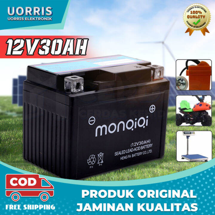 AKI / BATTERY ALAT SEMPROT / SPRAYER HAMA ELEKTRIK Zeus VRLA 12V 30AH ...