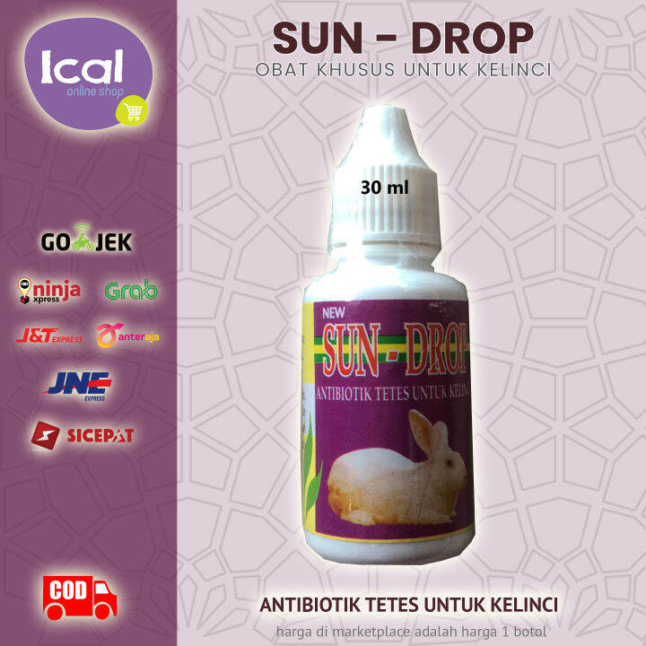 SUN DROP Obat Kelinci Antibiotik | Lazada Indonesia