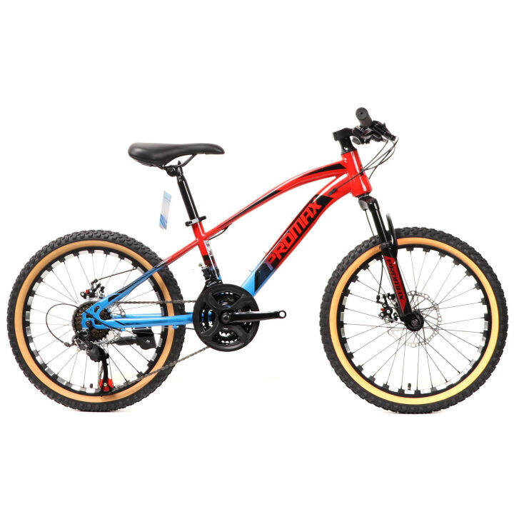 PM5 PROMAX MINI MOUNTAIN BIKE SIZE 20 | Lazada PH