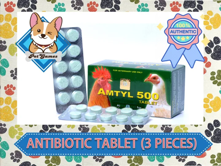 Amtyl 500 - 3 Tablets | Lazada PH