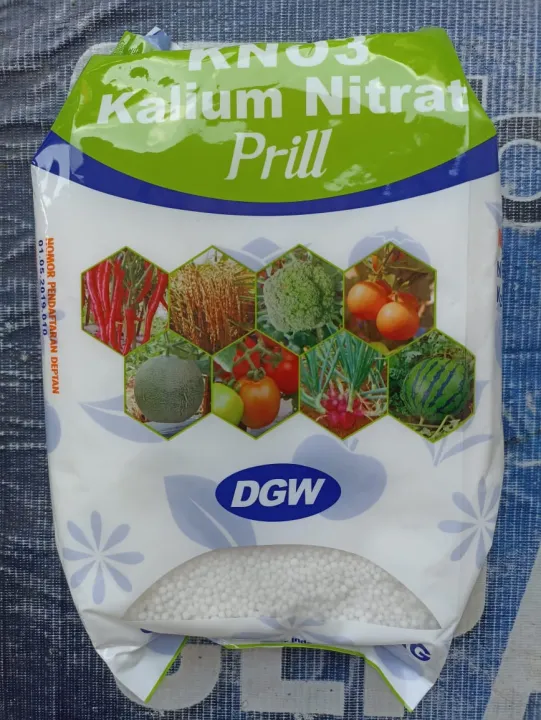 Pupuk KNO 3 KALIUM NITRAT PRILL 2kg | Lazada Indonesia
