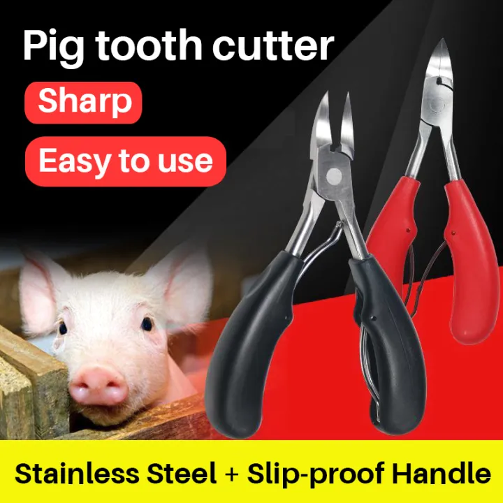 Stainless Steel Pig Tooth Cutter Piglet Teeth Nipper Clipper Cutting ...