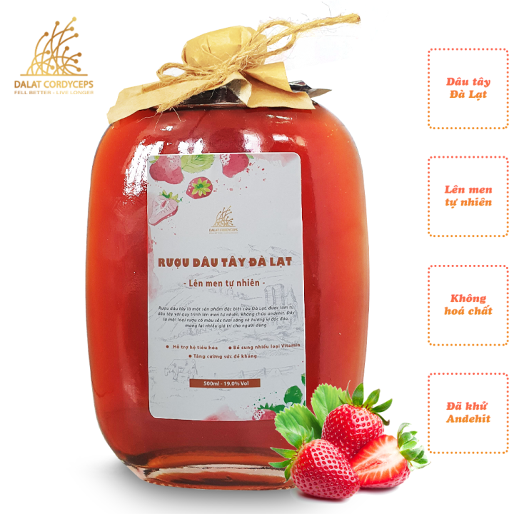 Dâu tây Đà Lạt lên men rượu - Dalat Cordyceps | Lazada.vn