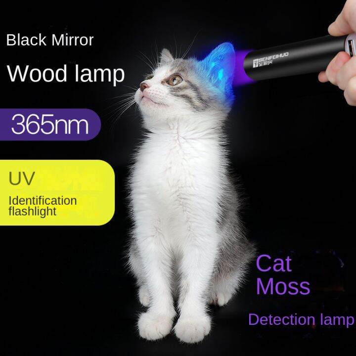 Cat Black Mirror Purple Light Flashlight Cat Ringworm Fluorescent ...